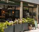 Olea Social: 50% off the first table of the night with First Table