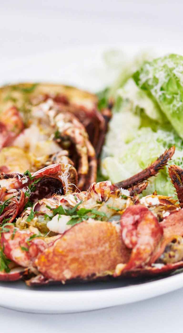 Stock Kitchen & Bar: Book any time at everyday prices