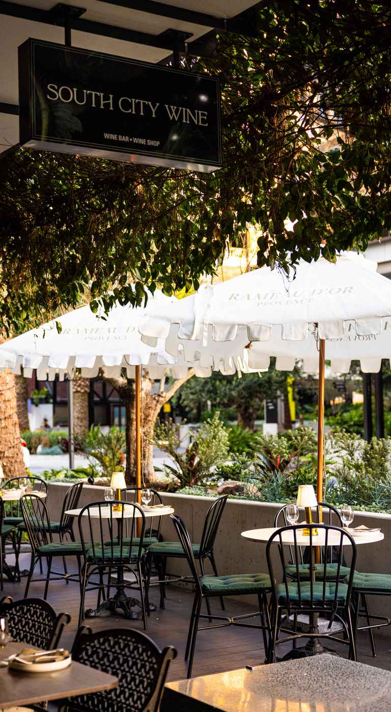 South City Wine Bar & Bistro: 50% off the first table of the night with ...