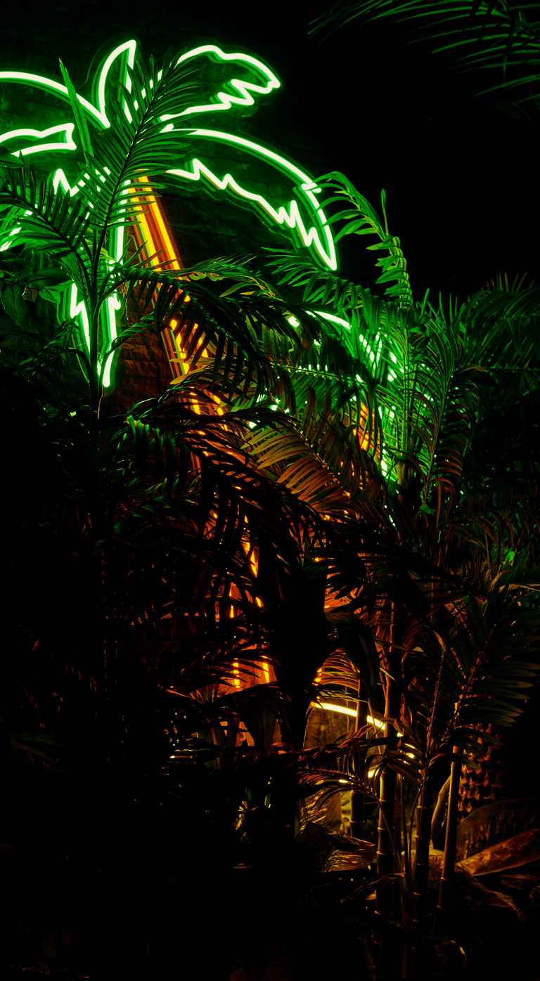 Nevermind Bar: 50% off the first table of the night with First Table