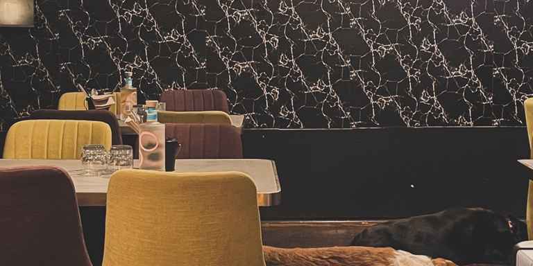 The Paw Bar & Eatery: 50% off the first table of the night with First Table