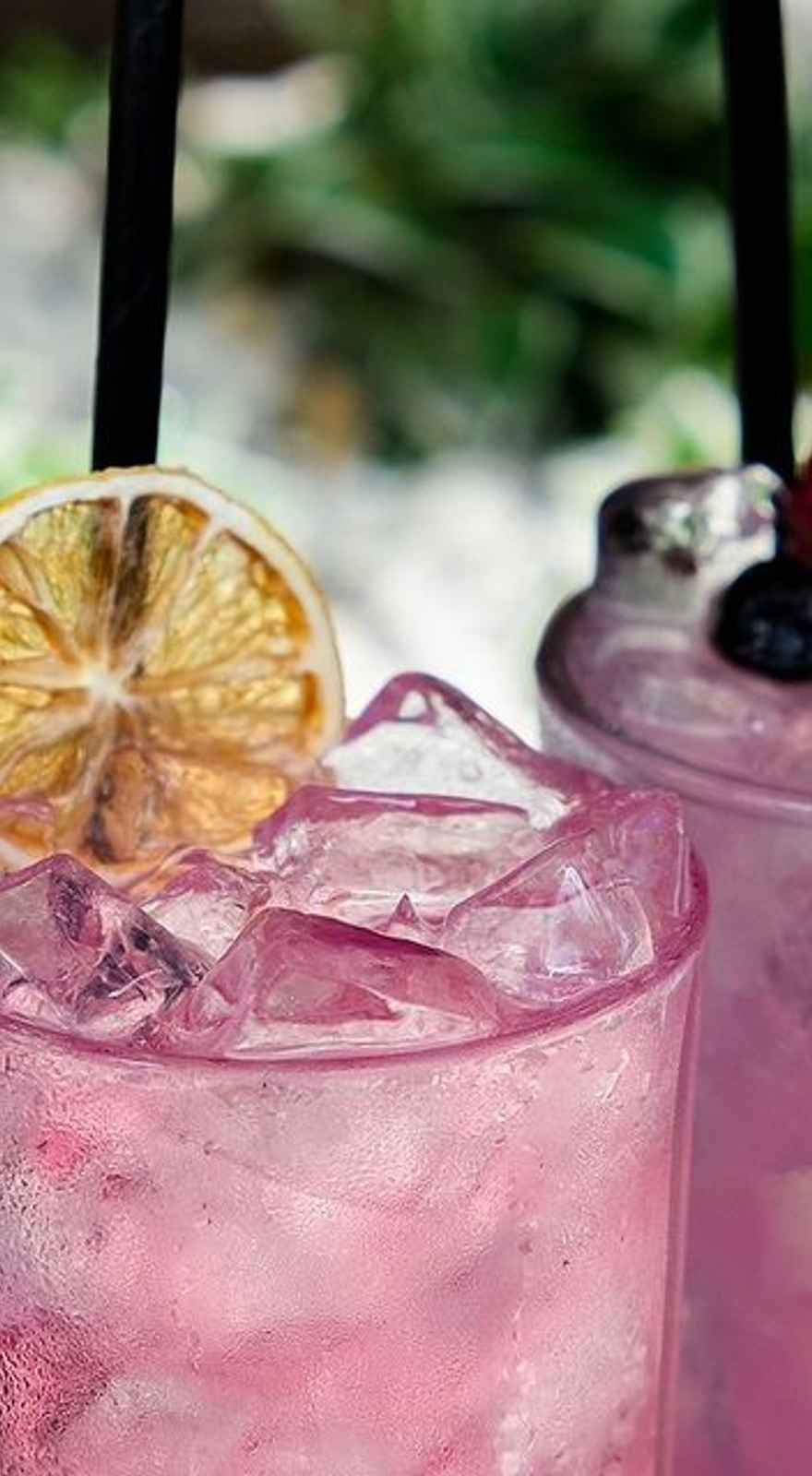Southern Cross Garden Bar Restaurant: 50% off the first table of the ...
